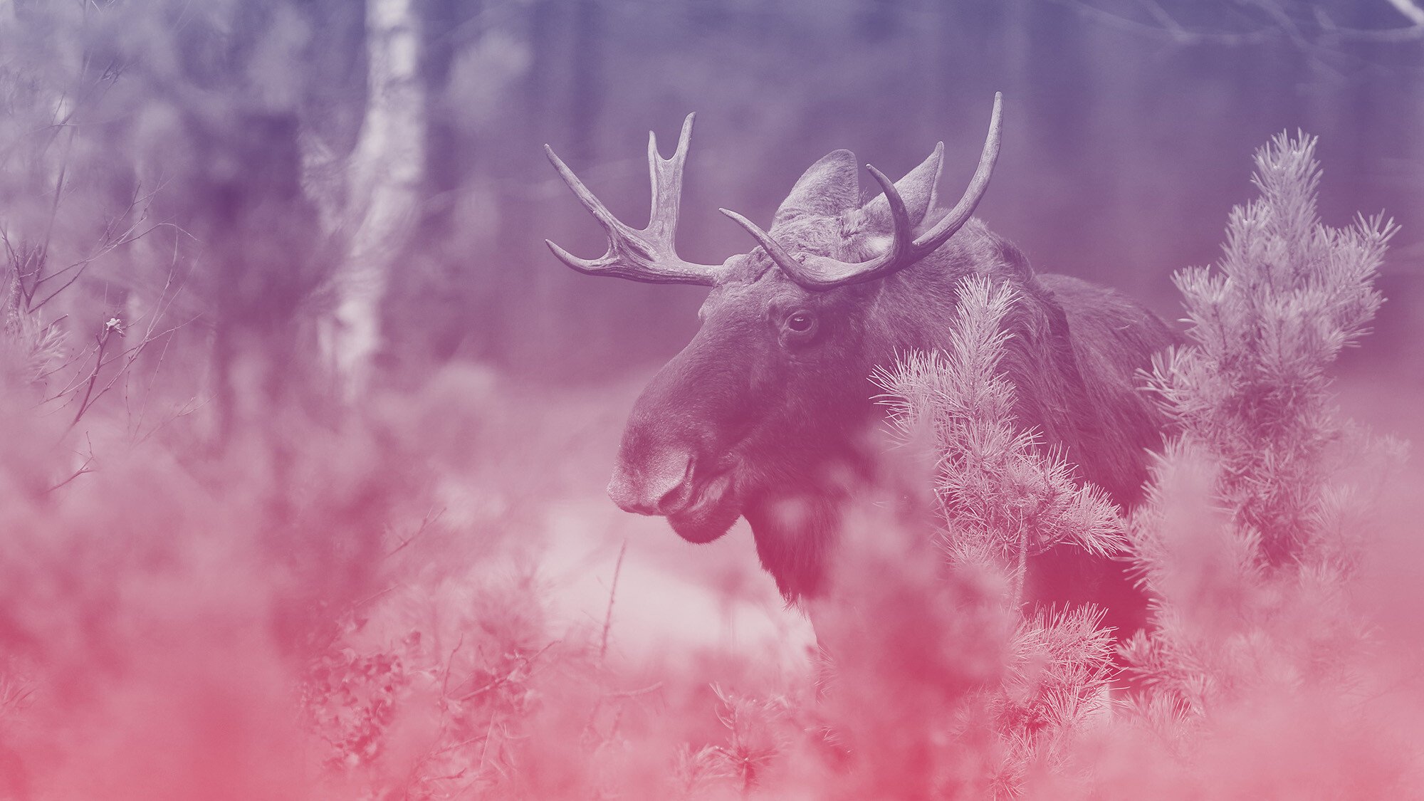 Arbeitszeitregelungen in der Schweiz - Ein umfassender Leitfaden für ...